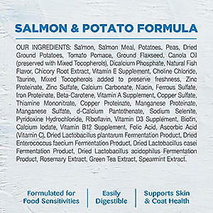 Wellness Simple Natural Grain Free Limited Ingredient Dry Dog Food, Salmon and Potato Recipe, 24-Pound Bag