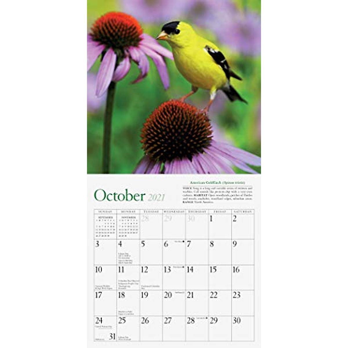 Audubon Songbirds Mini Wall Calendar 2021