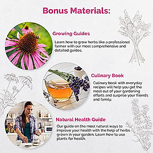 Organo Republic 25 Medicinal & Tea Herb Seeds Variety Pack for Indoor & Outdoors. 5800+ Non-GMO Heirloom Garden Seeds: Anise, Borage, Cilantro, Chamomile, Dandelion, Rosemary, Peppermint Seeds