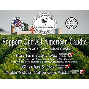 Black Raspberry Vanilla 2 Pack 12 Cubes 6 Ounces Total Scented Flameless Soy Wax Melts 100% Natural American Farmed Soy Wax. Premium Fragrance Oils, Smokeless Candles, Vegan Friendly