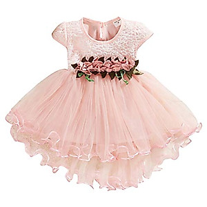 Krogubis 0-2T Baby Girls Floral Lace Tulle Dresses Infant Kids Flower Wedding Bridesmaid Dress Birthday Party Pageant Dress (Pink, 12-18Months), 12-18 Months