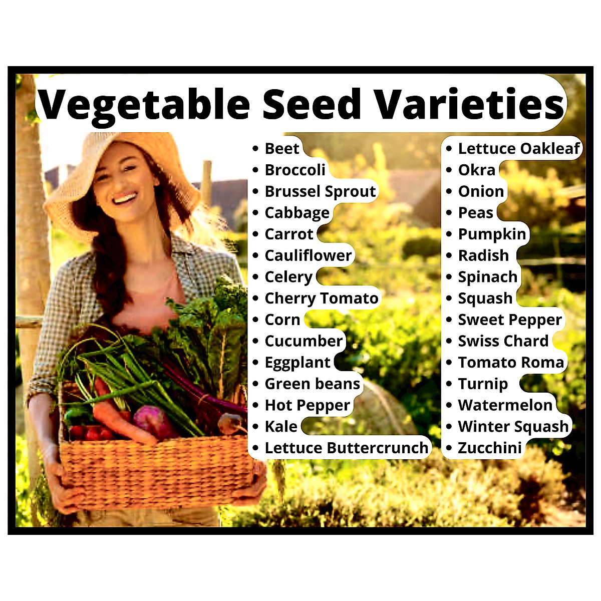 30 Vegetable & Fruit Seeds for Planting Your Outdoor & Indoor Home Seed Garden, Survival Gear Kit Includes 7600 Seeds, A Growing Guide & Mylar Package Gardening Heirloom Non-GMO Veggie Seed B&KM Farms
