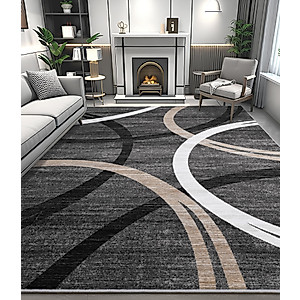 chakme Modern Abstract Washable Rugs 8'x10' Area Rug for Living Room Bedroom, Black and White Rug Non-Slip Ultra Thin Home Decor, 8x10FT