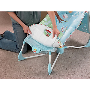 Fisher-Price Soothe & Go Bouncy Seat
