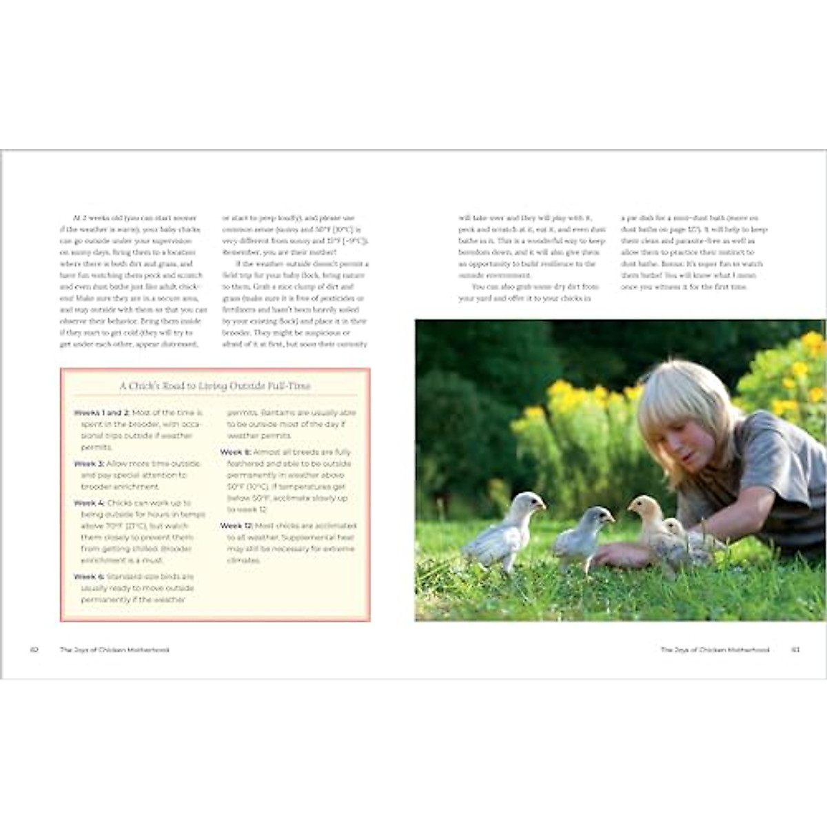 Let's All Keep Chickens!: The Down-to-Earth Guide to Natural Practices for Healthier Birds and a Happier World