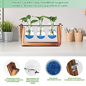 XCC Plant Propagation Station - 3 Bulb Vase, Perfect Home and Office Decor, Ideal Gift for Women, Beautiful Garden Decoration, Great Birthday Gift for Planter Lover