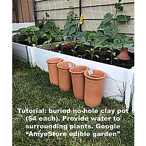 Root Vegetable Seeds for Planting Vegetables and Fruits,Non-GMO Heirloom Vegetable Seeds Vegetables Seeds at Home Vegetable Garden and Hydroponics Seed Pods (600ct Danvers Carrot Seeds, 1 Gram)