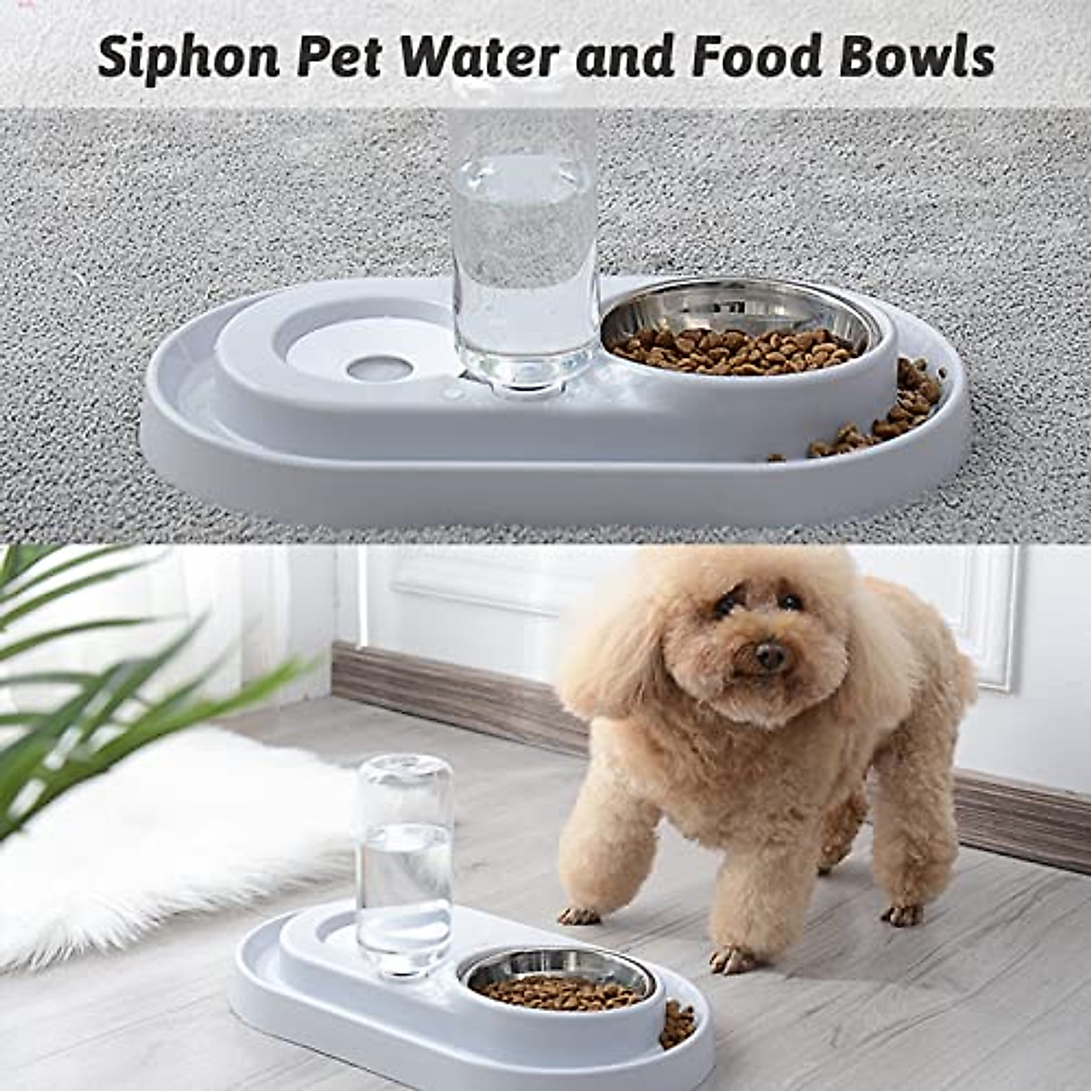 Fhiny Dog Cat Double Bowls, Bunny Automatic Water Bottle Set Dispenser Detachable Stainless Steel Bowls for Small Animals Cats Kitten Puppy Squirrel