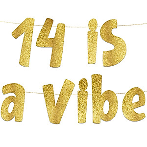 14 is a Vibe Gold Glitter Banner - 14th Birthday Party Supplies, Ideas, Gifts and Decorations