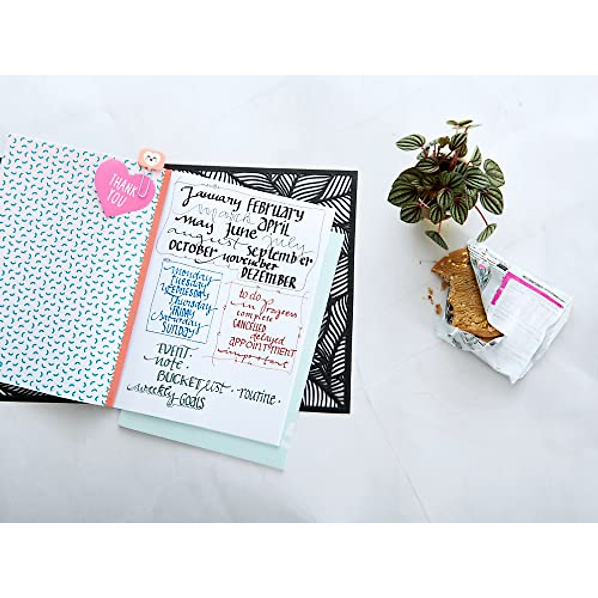 edding 1255 Calligraphy Pen Pack of 3 - Black