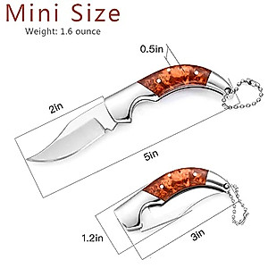 EZKIT Pocket knife, Small Pocket Knife for Men and Women, Blade Length 2in