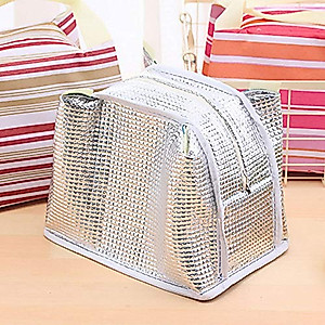 Lunch Bag Lunch Organizer for office Lunch Cooler with Zip Closure Foldable Lunch Tote Bag, Reusable Lunch Holder Insulated Lunch Container Picnic Bag for Men Women（Pink+Red）