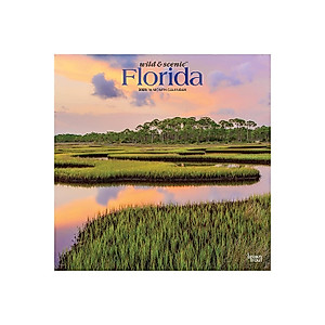 Florida Wild & Scenic | 2023 12 x 24 Inch Monthly Square Wall Calendar | Foil Stamped Cover | BrownTrout | USA United States of America Southeast State Nature
