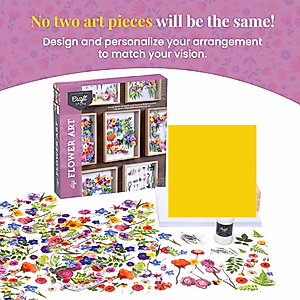 DIY Flower Craft Kit for for Teens & Adults - Make Beautiful Flower Art Piece for Wall - Faux Flower Terrarium Kits - Precut Paper Flowers with Glue - DIY Art & Craft Gifts