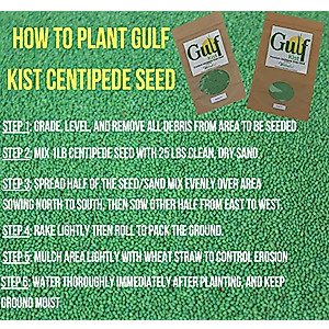 Centipede Grass Seed for a Dense Green Lawn, NO Mulch, 1 lb Coated Seeds, Sun and Moderate Shade Tolerant Lawn Seeding and Turf Patch Repair, Southern Southeast US, Low Fertilizer Low Maintenance