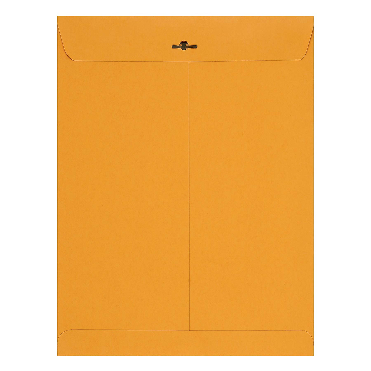 Amazon Basics 9 x 12-Inch Clasp Kraft Envelopes, Gummed, 100-Pack