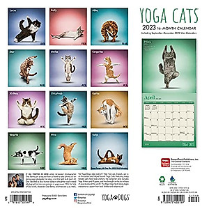 Yoga Cats OFFICIAL | 2023 12 x 24 Inch Monthly Square Wall Calendar | BrownTrout | Animals Humor Pets
