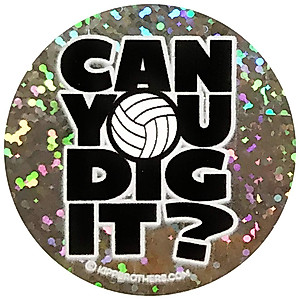 Assorted Volleyball Sports Sparkle Sticker Sheet Pack - 102 Stickers