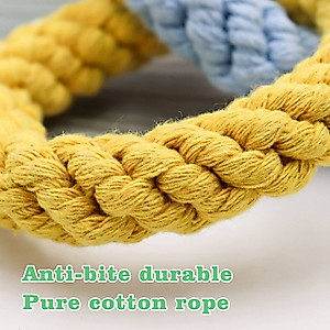 2 Pack Sugar Glider Hanging Three-Ring Climbing Toys, Colorful Sugar Glider Swing Toys, Sugar Glider Hamster Rats Toys, Cage Accessories for Sugar Glider Ferret Hamster Squirrel Chinchilla Parrots