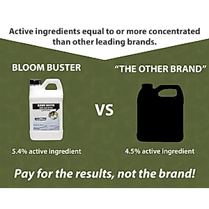 Bloom Buster Pond Algae Control - 64oz - Fast Acting Algaecide, Use in Fountains & Outdoor Ponds Containing Koi & Other Fish - EPA Registered