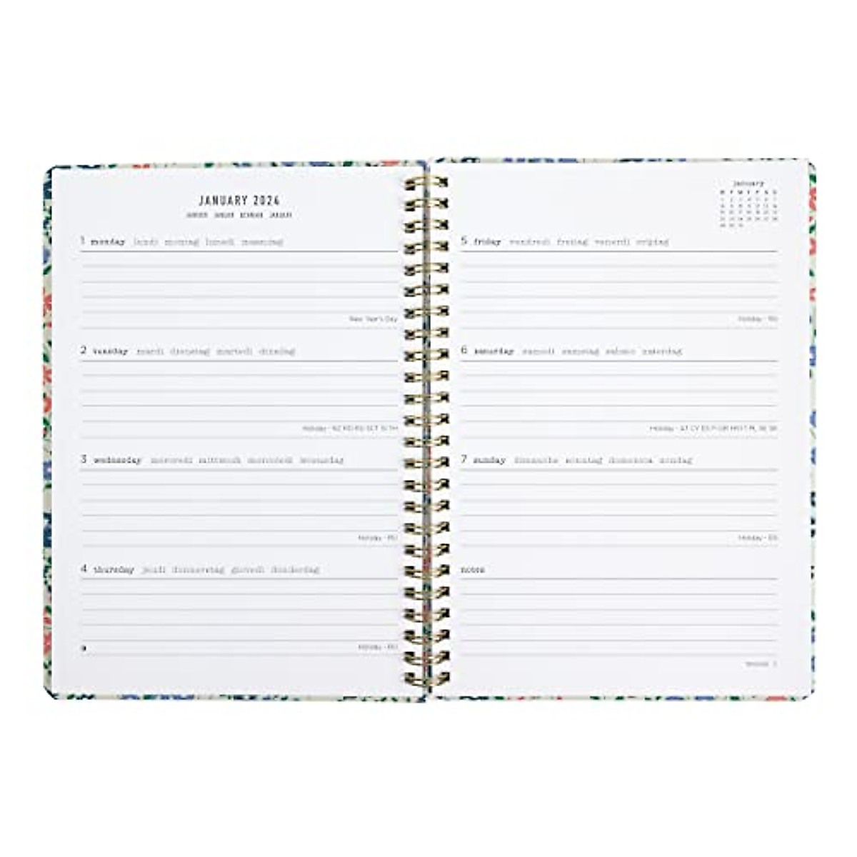 Letts Spring Valley Weekly/Monthly Planner, 12 Months, January to December, 2024, Wiro Binding, A5 Size, 8.25" x 5.875", Multilingual, Mint (C082377-24)