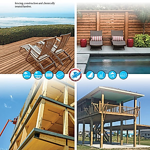 #8 X 1 5/8 Inch Stainless Steel Wood Screws 100 Pieces | Flat Head T20 Star Torx Drive | 304 Grade Stainless Steel Deck Screws | Allen's Trading Co. Eagle Claw Fasteners (Driver Bit Included)