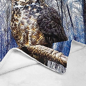 CUXWEOT Custom Blanket with Name Text Personalized Animal Owl Soft Fleece Throw Blanket for Gifts (50 X 60 inches)