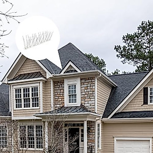 Cabilock Bird Spikes Stainless Steel Bird Blinder Bird Repellent Deterrent Spikes for Pigeons Birds