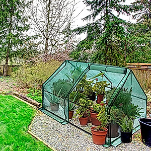 Byhagern Mini Greenhouse, 71'' x 36'' x 36'' Garden Plant Green House with 2-Zipper Doors, Portable Green Hot House for Indoor/Outdoor, Patio, Backyard and Nursery