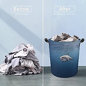 Shortfin Shark Under The Sea Large Laundry Basket Hamper Bag Washing with Handles for College Dorm Portable