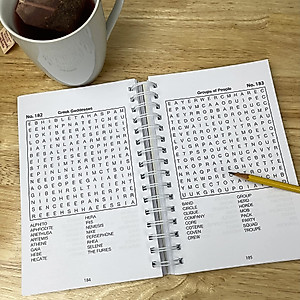 Word Search Puzzles (Big Book of Puzzles) (Brain Busters)