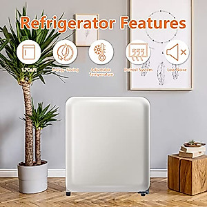 Antarctic Star Compact Refrigerator Mini Fridge for Beverage, Ice Cream, Vegetable, Fruit, 1.7 Cu. Ft. , Freezer with Drip Tray, Bottle Racks and Defrost Button, Great for Bedroom, Office, Dorm, KS-48RHL,White