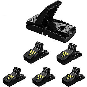 Mouse Traps, Mice Traps for House, Small Mice Trap Indoor Quick Effective Sanitary, Mice Snap Trap, Safe Mousetrap Catcher for Family and Pet - 6 Pack (6)