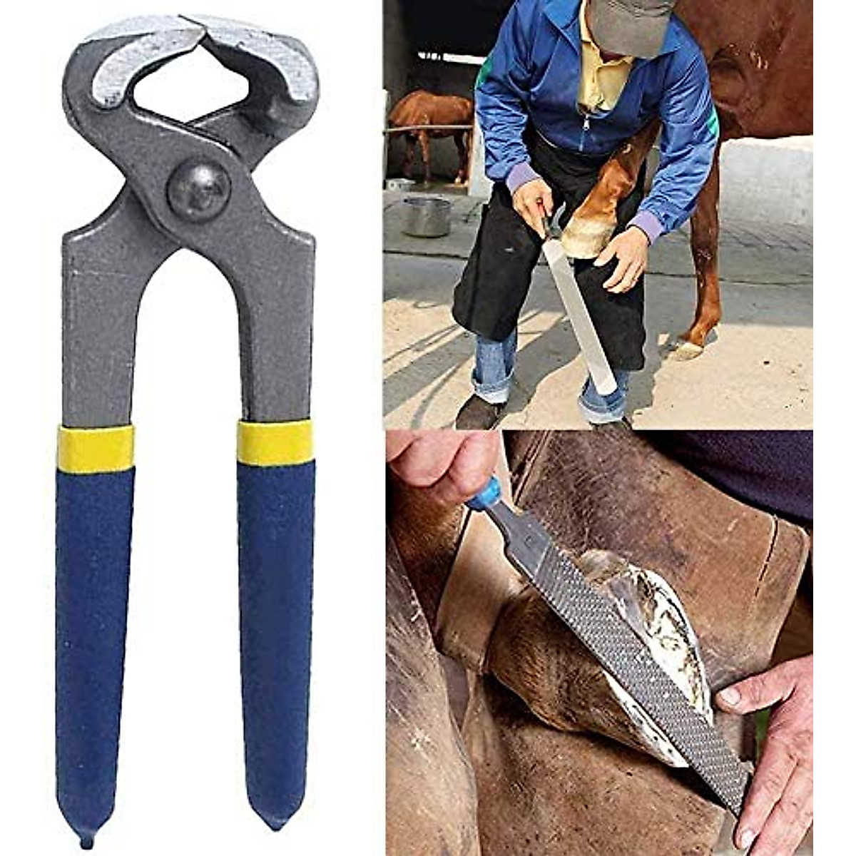 Hoof Trimmers Goat Hoof Trimming Shears Nail Clippers, Horse Farrier Tool, Multi-Purpose Hoof Trimmers，Horse Equine Metal Shears Farriers Hoof Nipper Cutter Professional Horses Hoof Trimming Tools