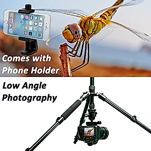 Alwayside Camera Tripod with Phone Holder and Bag, Aluminum Travel Tripod for Camera, DSLR Camema Tripod, Compact Professional Camera Tripod Monopod with 360 Panorama Ball Head, 1/4 QR Plate