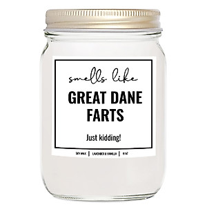 YouNique Designs Smells Like Great Dane Farts Candle 8 oz - Great Dane Gifts for Great Dane Lovers - Great Dane Gifts for Owners Dog Farts Candle - Funny Great Dane Mom Gifts (Lavender & Vanilla)