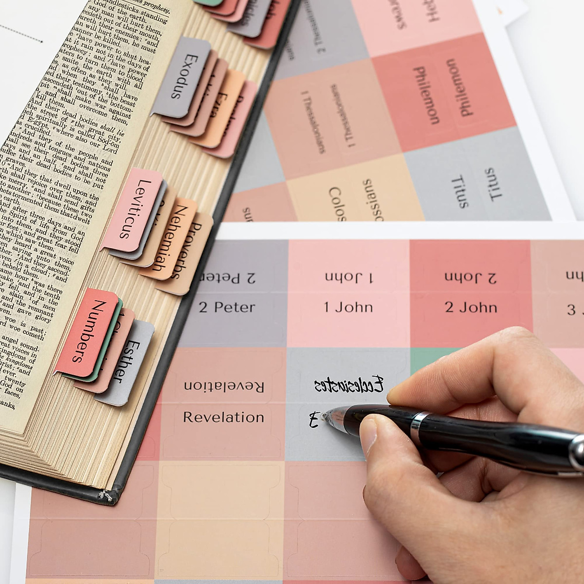 Laminated Bible Tabs - 80 Bible Tabs for Study Bible | New and Old Testament | Bible Tabs for Women