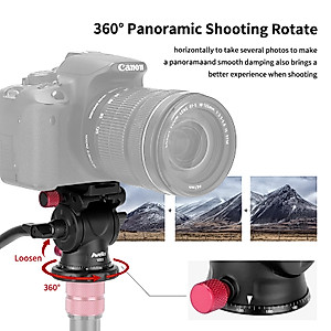 Avella Tripod Fluid Head Pan Tilt Head with Arca Type Quick Release Plate and Handle, Metal Panorama Head with Scaled Base for Compact Video Camera DSLR Camera, Load up to 6.6lb, V502