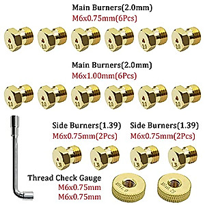 GardenNow 12FT 3/8" ID Natural Gas Hose, Low Pressure LPG Hose with Quick Connect, for Weber, Char-Broil, Pizza Oven, Patio Heater and More NG Appliance Propane to Natural Gas Conversion Kit