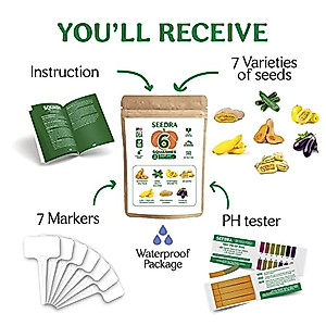 Seedra.US 6 Squash Seeds Variety Pack - 325+ Non GMO, Heirloom Seeds for Indoor Outdoor Home Garden - Summer and Winter Squash Seeds, Zucchini Seeds + Eggplant Seeds