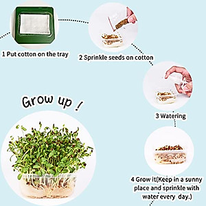Grow Your Own Jungle Garden - Alfalfa Microgreen Growing Kit 3D Garden Scene with Attachable Animal Cards, Best Birthday Crafts Gifts for Girls & Boys