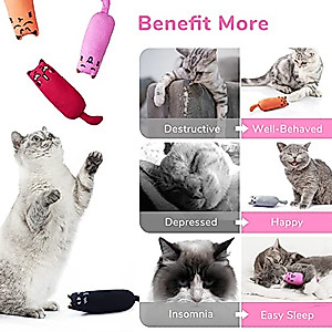Legendog 5Pcs Catnip Toy, Cat Chew Toy Bite Resistant Catnip Toys for Cats,Catnip Filled Cartoon Mice Cat Teething Chew Toy (Multicolor)