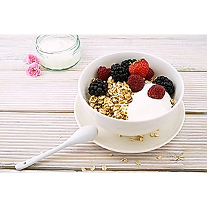 BlackBerry - Chester - THORNLESS - Non-GMO - Good Flavor, Large Berries - 2 Pack - Wrapped in Coco Coir - GreenEase by ENROOT