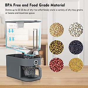 Premium Rice Dispenser - 25lbs Capacity Kitchen Storage Container: Pantry Organizers and Storage, Grain Storage Container, Flour and Rice Container for Countertop, Cereal & Candy Food Dispenser.