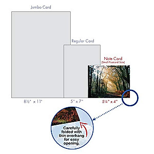 The Best Card Company - 20 Landscape Nature Note Cards Blank (4 x 5.12 Inch) (10 Designs, 2 Each) - Shining Through AM1735OCB-B2x10