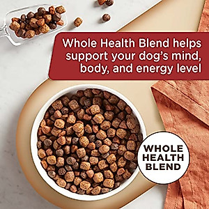 Rachael Ray Nutrish Premium Natural Dry Dog Food, Real Beef, Pea & Brown Rice Recipe, 14 Pounds (Packaging May Vary)