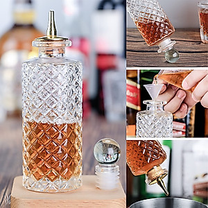 Bitters Bottle - Set of 6 Glass Dasher Bottles with Tray Barware Set for Home Bar Bartender