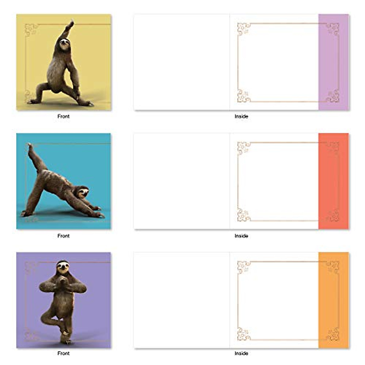 The Best Card Company - 10 Blank Yoga Note Cards (4x 5.12 Inch) - Boxed Notecards with Envelopes, Cute Animal Cards, Zen Assortment - Sloth Yoga AMQ6255OCB-B1x10