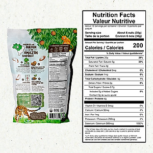 Floresta em Pé The True Organic Premium Brazil Nuts (15oz) Raw & Unsalted | Kosher | Non-Gmo | Certified Organic | Fresh | Vegan | Gluten Free | Keto & Paleo Friendly | Sustainably Harvested