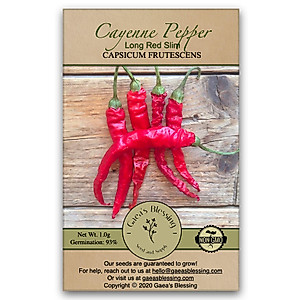 Gaea's Blessing Seeds - Cayenne Pepper Seeds - Heirloom Hot Pepper Long Red Slim Non-GMO Open-Pollinated High Yield Germination Rate 93% Net Wt. 1.0g